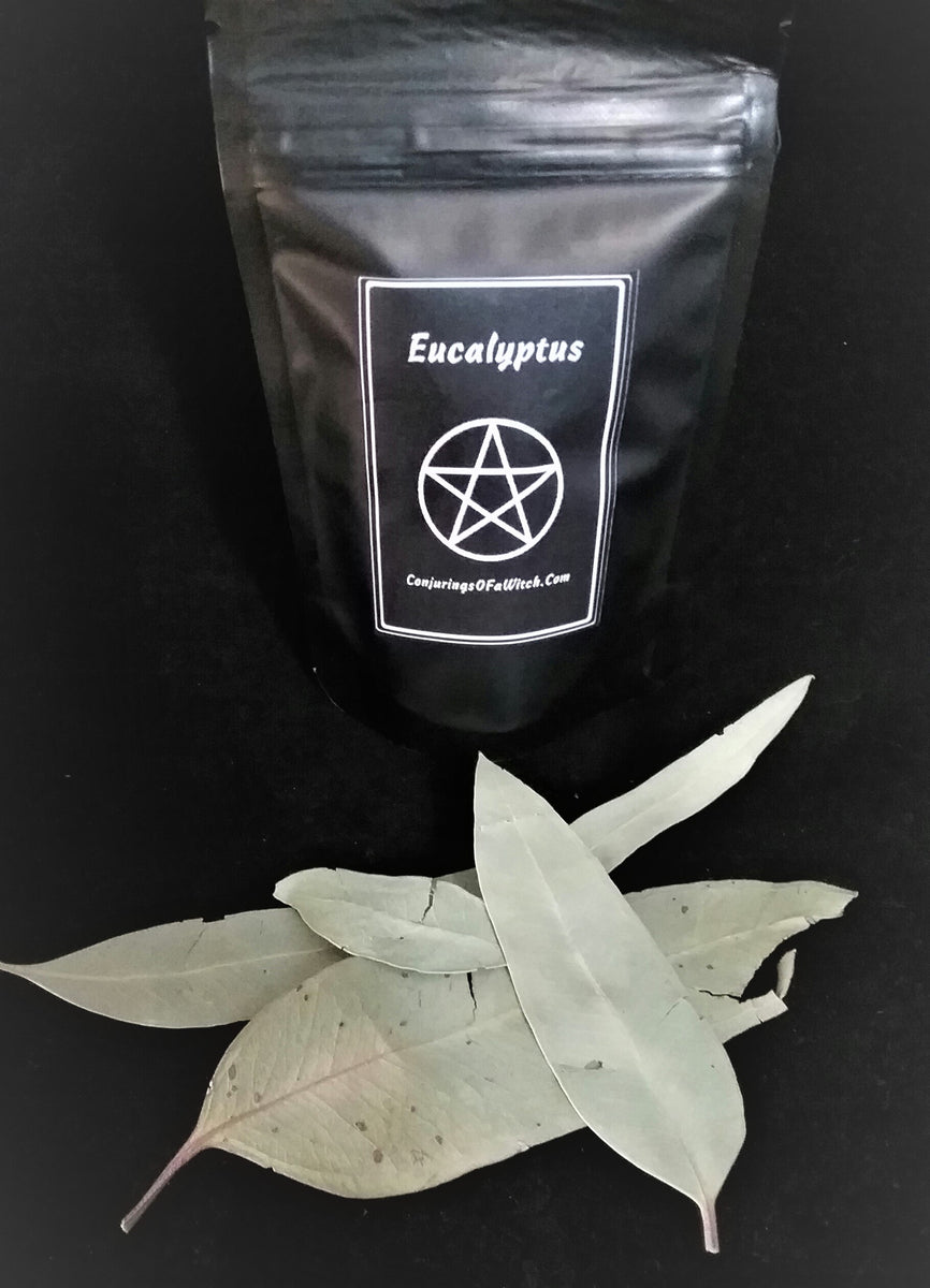 EUCALYPTUS SPELL SIZE PACK – Conjurings Of A Witch